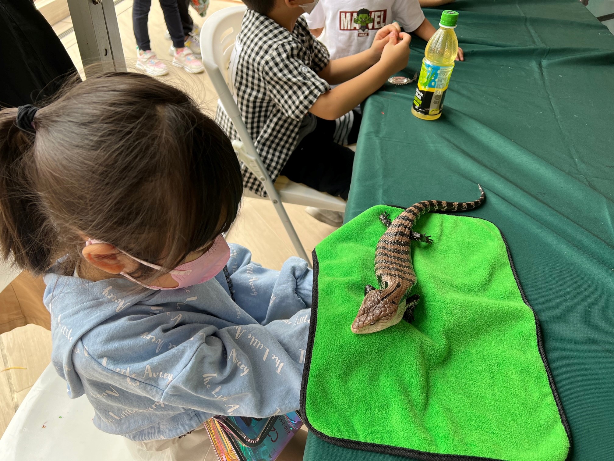 Ivan Nature’s Workshop – FAIRVIEW PARK TOWN CENTRE