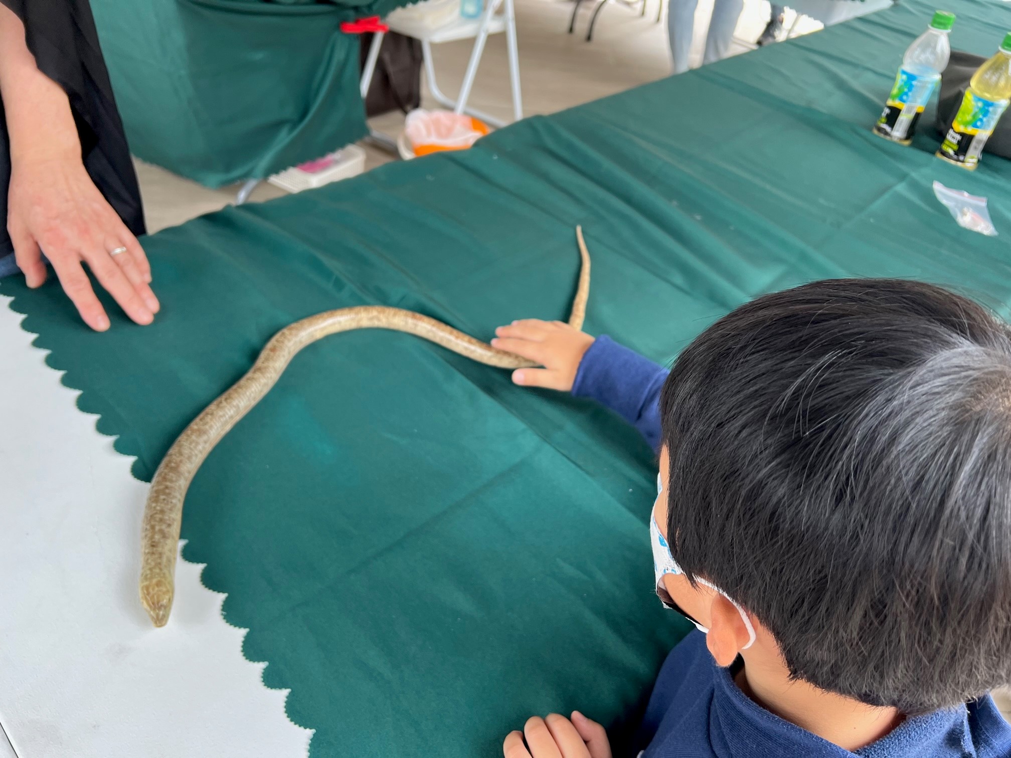 Ivan Nature’s Workshop - FAIRVIEW PARK TOWN CENTRE